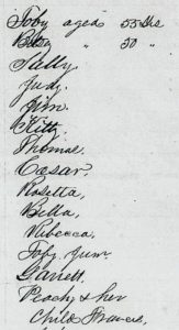 Betsy Sanders - Highland