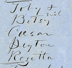 Betsy Sanders - Highland