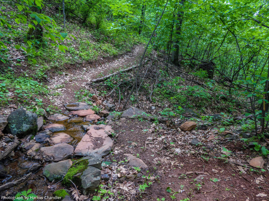 A Walk in the Woods - May 21 - Highland