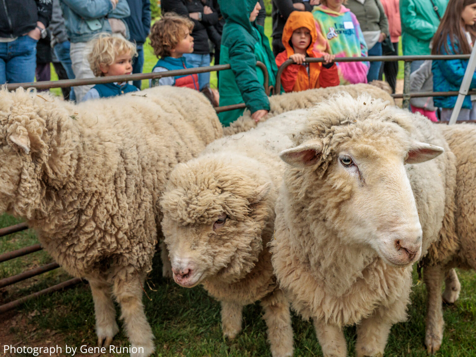 James Monroe's Highland